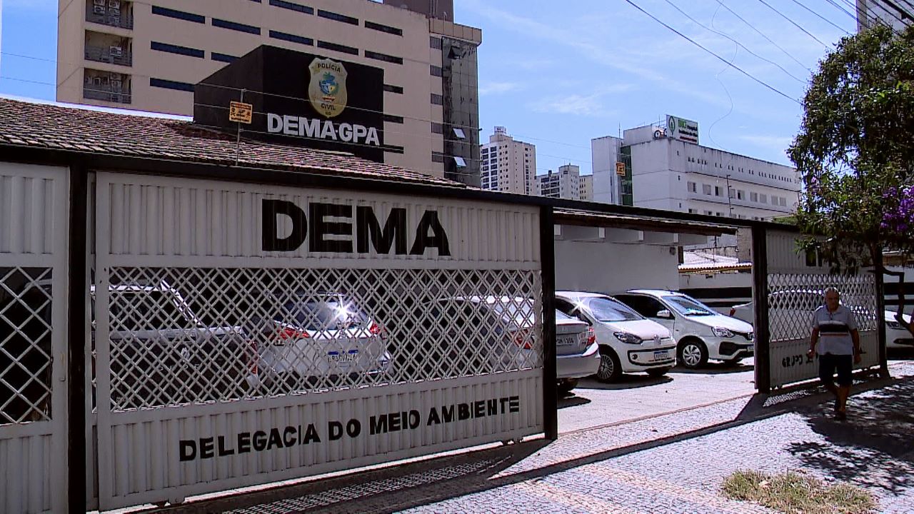 Ações da Dema reduzem crimes ambientais - Agência Brasil Central