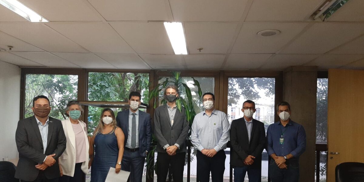 Projeto de APL visa resgatar cadeia produtiva de leite em São Luís de ...