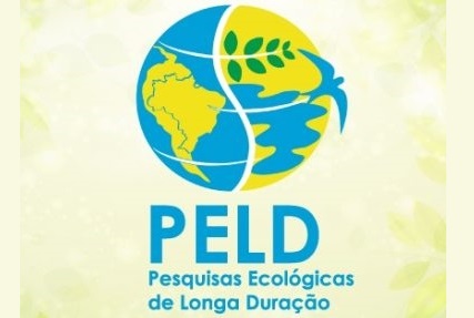 CNPq realiza julgamento da Chamada PELD em parceria com Fundo Newton ...