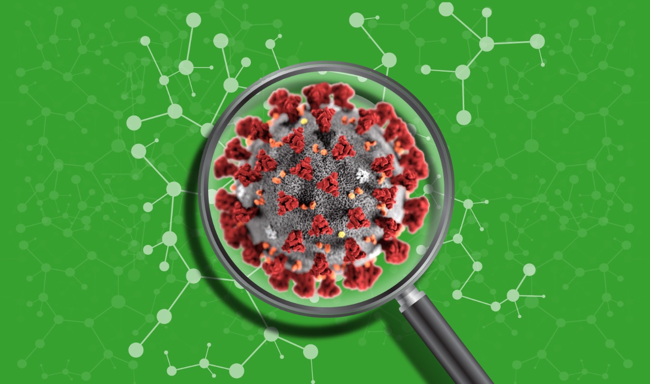 Atualização dos casos de doença pelo coronavírus (Covid-19) em Goiás ...