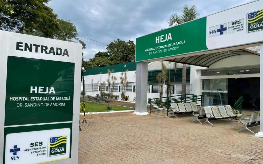 Heja encerra 2024 com mais de 175 mil atendimentos – Saúde