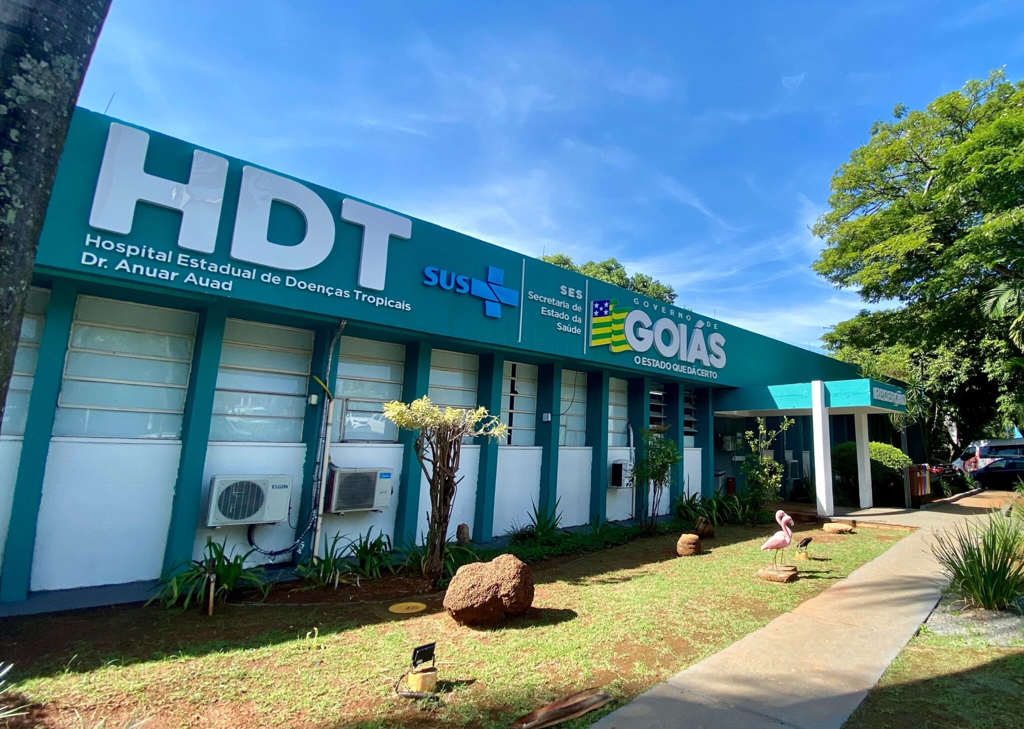 HDT fortalece cuidado materno-infantil na eliminação da transmissão ...