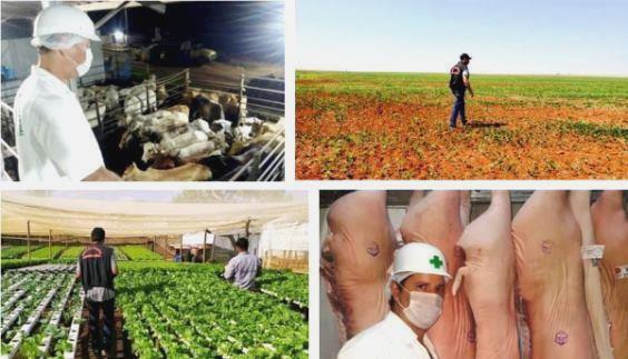 Agrodefesa mantém todas as atividades essenciais de defesa animal e ...